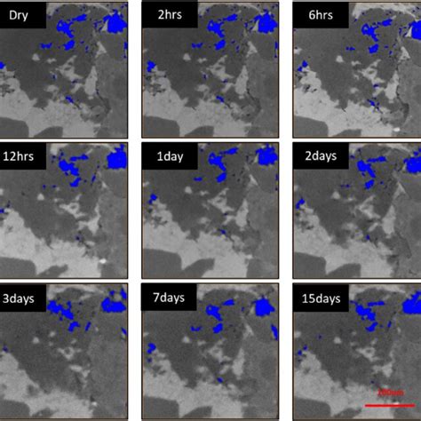 Calcite Variation After Different Fluids Soaking Durations Well A Download Scientific Diagram