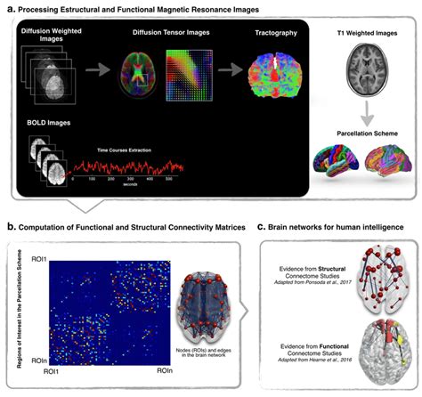 Summary Of Basic Analytic Steps For Connectome Based Analyses Panel A