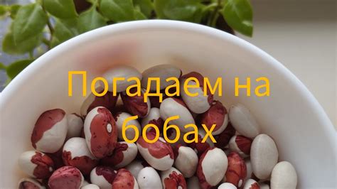 ДА или НЕТ гадание на бобах гадания Youtube