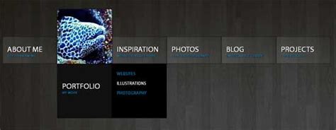 95 Free Jquery Css Drop Down Navigation Menu Shramkievua