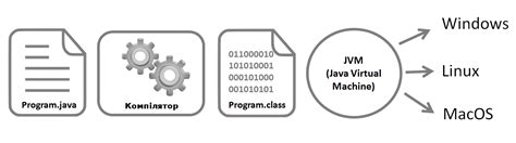 Чому мова Java така популярна • Vertex Academy
