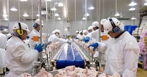 육류공장 코로나가 좋아할 환경싼 고기의 대가는 참혹했다