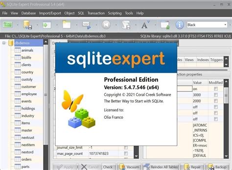 Sqlite Expert Professional V5 5 12 623 英文免安裝版 Windows 軟體分享 冰楓論壇 綜合論壇 遊戲攻略 外掛下載 軟體下載 省錢優惠