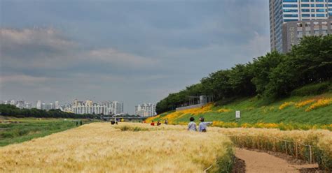 영등포 구로 금천 양천구 공동 연대로 안양천 명소화