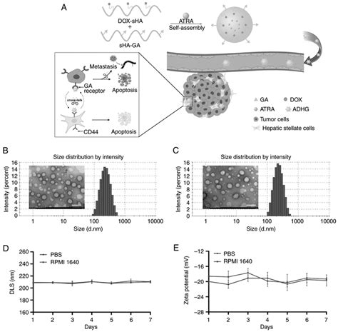 Illustration And Characteristics Of Drug Loaded Nanoparticles A Download Scientific Diagram