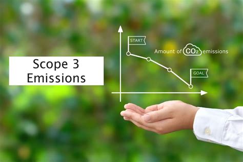 Scope 3 Emissions Your Carbon Steps