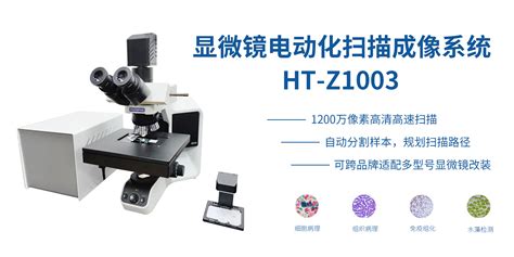 武汉华辰美光科技有限公司 显微扫描成像 扫描显微镜 荧光扫描显微镜 显微镜电动化 显微图像分析 生命科学仪器 华辰美光科技
