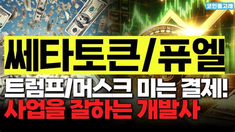 쎄타퓨엘 쎄타토큰 코인 분석 트럼프 머스크가 미는 결제 사업 확실히 사업을 잘하는 개발사 쎄타퓨엘 쎄타퓨엘코인