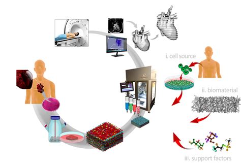 3d Bioprinting Research