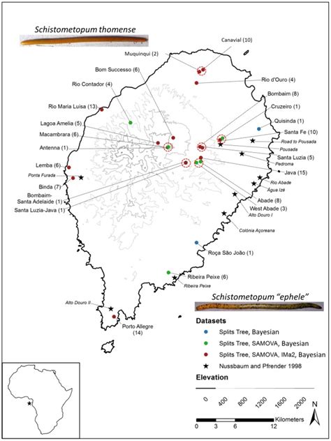 Numbers In Parentheses Indicate Number Of Specimens Available For Download Scientific Diagram