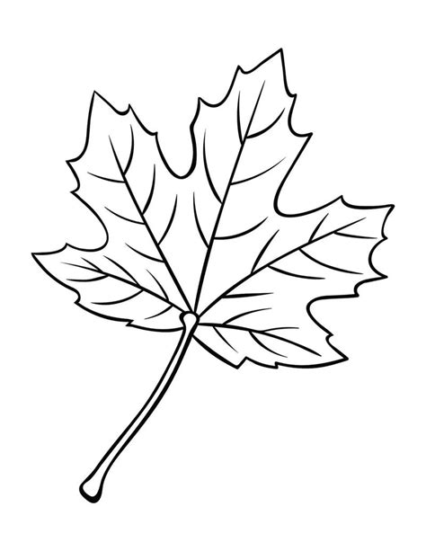 用树叶做秋天的简笔画幼儿园简单（共11张） 简笔画图片大全