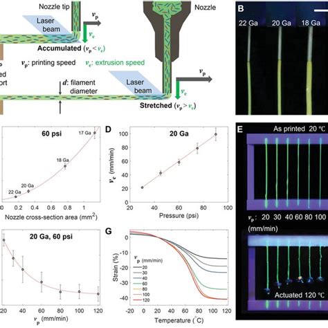 3d Spatial Lce Lattices A The Design And The Printed Structure Of An Download Scientific