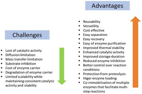 Enzymes In Pine Pineapple Enzyme Health Benefits Udemy Blog
