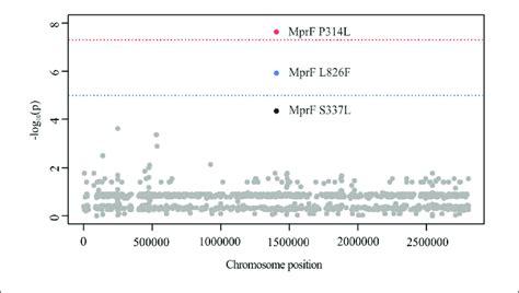 Manhattan Plot Illustrating DAP PLINK Results The Log Unadjusted Download Scientific