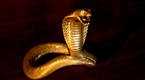 5 Sex Toys Termahal Di Dunia Health