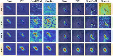 Figure 1 From Bagging Regional Classification Activation Maps For