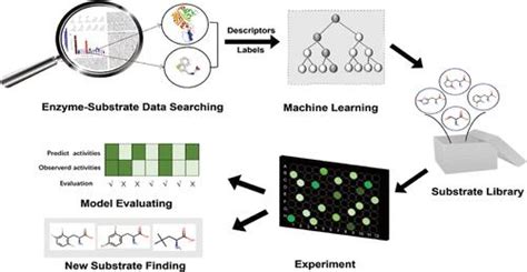 机器学习能够预测吡咯赖氨酰 Trna 合成酶底物特异性 Acs Synthetic Biology X Mol