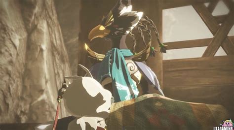 Pin By Kaveh Sky On Legend Of Zelda Botwtotk Hyrule Warriors Legend Of Zelda Breath Of The
