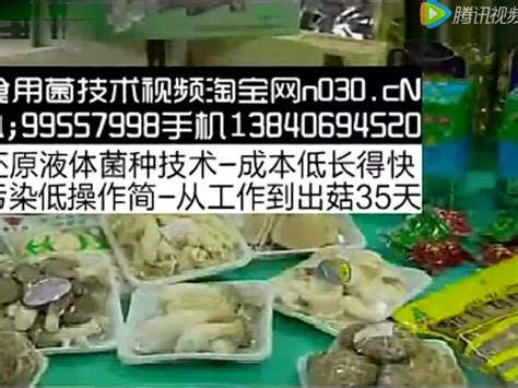 食用菌液体菌种栽培新技术一次性接种瓶快速接 高清1080P在线观看平台 腾讯视频