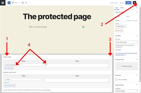 Show Custom Fields Box In The Wordpress Page Editor Cameo Membership Organiser