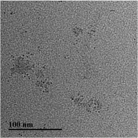 High Risk Human Papilloma Virus Detection Method Oligonucleotide Sequence And Oligonucleotide