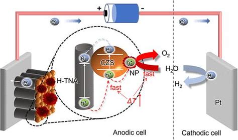基于氢化tio2纳米管阵列光阳极表面修饰的光热电耦合场构建及其改进的光电化学水分解 Inorganic Chemistry X Mol