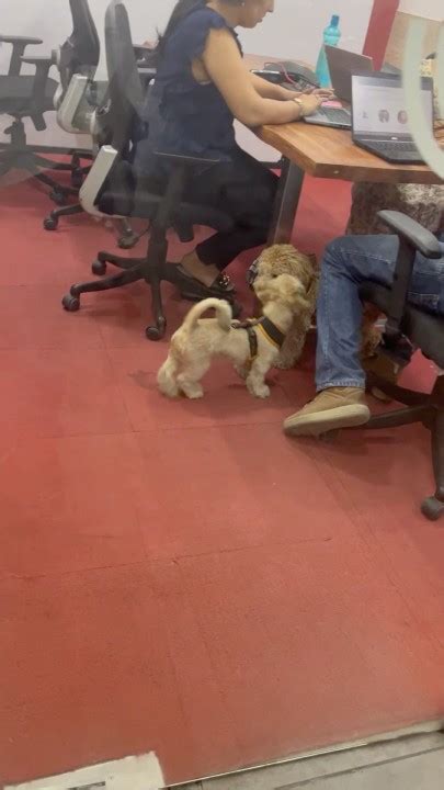 Video Suyash Agarwal On Linkedin Thats One Thing Usual About Innovaccer 😍😍