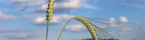 An Irrefutable Definition Of Natural Rights The Jackson Pemberton Blog An Irrefutable Definition Of Natural Rights The Jackson Pemberton Blog