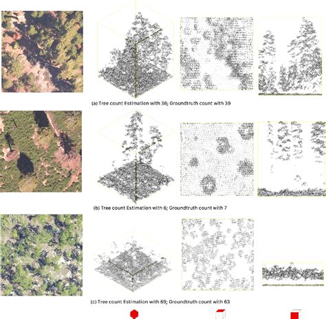 Figure 1 From Tree Counting By Bridging 3d Point Clouds With Imagery