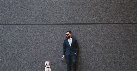 거리에서 개를 걷는 사업가 가장 친한 친구 걷기 잘 생긴 사업가 힙 스터 걷는 개 사진 Unsplash의 양복 이미지
