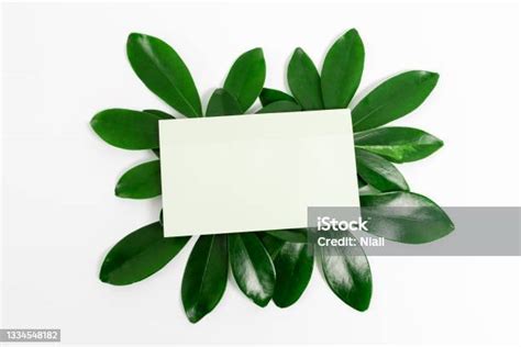 자연 테마 프리젠 테이션 아이디어 디자인 재생 가능한 재료 표시 지속 가능한 제품 만들기 유기 재료 원예 디자인 계획 봄 시간 아이디어 결혼식에 대한 스톡 사진 및 기타