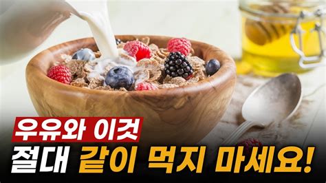 같이 먹으면 안 된다고 하던 음식들 사실은 먹어도 된다 잘못된 음식궁합 상식 알려드립니다 계란 우유 음식 궁합 정보 Youtube