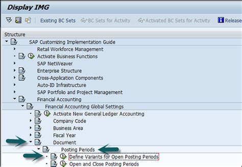 Sap Master Sap Fi Posting Period Variant