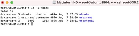 How To Create And Remove Users On Ubuntu Server 1804 Devtutorial