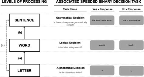 A Hierarchical Model Of Reading With Letter Word And Sentence Level