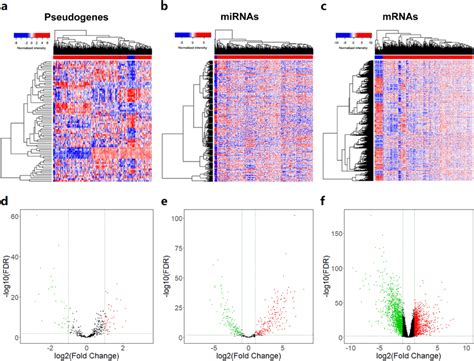 Differentially Expressed Rnas From Tcga Coad Compared With Adjacent Download Scientific Diagram