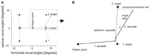 A Pattern Of First And Second Saccades To All Possible Target