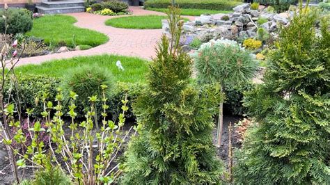 РАБОЧИЙ ДЕНЬ В ОГОРОДЕ И В САДУ💚ЧИСТКА ТРЕХ УЧАСТКОВ БОБЫ ТУИ Youtube