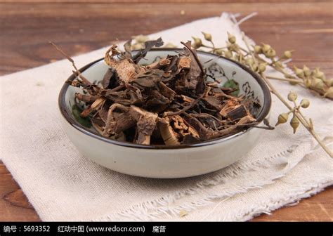 中药肿节风摄影图高清图片下载 红动中国