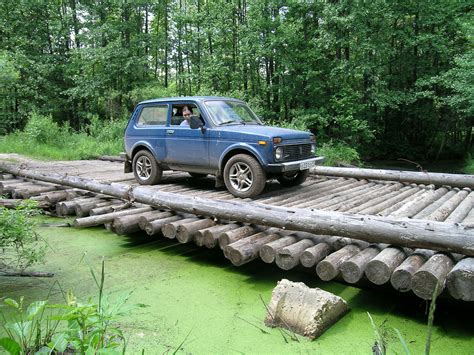 Бревно попало в машину 93 фото