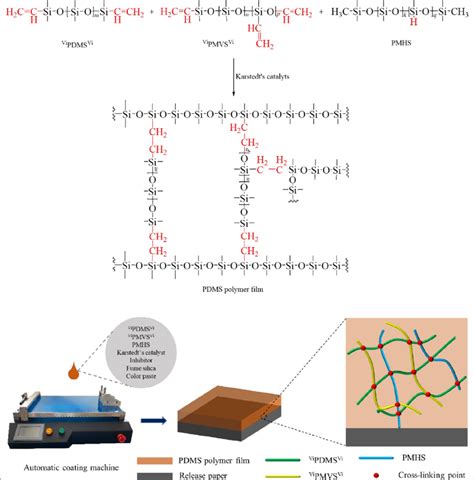 Schematic Diagram Of The Preparation Process Of Pdms Polymer Film Download Scientific Diagram