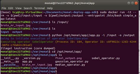 Simpleapp Executing Packaged App Locally Error · Issue 223 · Project Monaimonai Deploy App