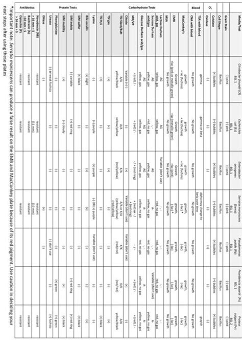 Solved Create A Flowchart Please Properly Labeling