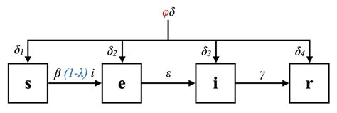 Diagram Of The Normalised Epidemic Seir Model With Restrictions λ And A Download Scientific