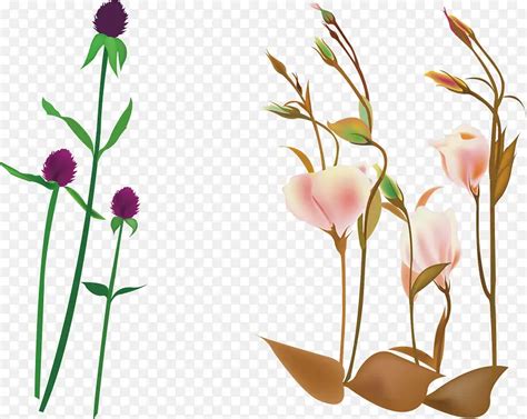 直播间礼物盒简笔画png图片素材下载 图片编号qwevpjzq 免抠素材网