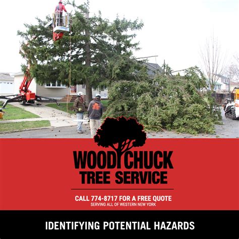 Identifying Potential Hazards WoodChuck Tree Service