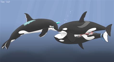 Rule 34 2010 Anal Anal Sex Anal Sex Anus Cetacean Countershading Cum Cum In Ass Cum Inside