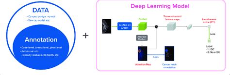 Development Of Deep Learning Models The First Step Is To Collect A Download Scientific Diagram