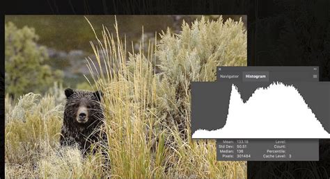 Quick Tips Use Histogram Data For Great Exposures
