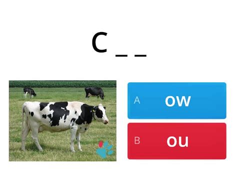 Initialit Year 2 Lesson 39 Ow Ou Quiz
